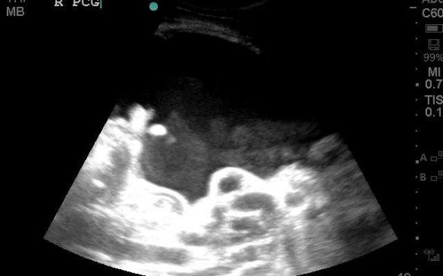 Index of /wp-content/uploads/2010/08