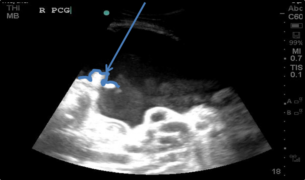 Index of /wp-content/uploads/2010/08